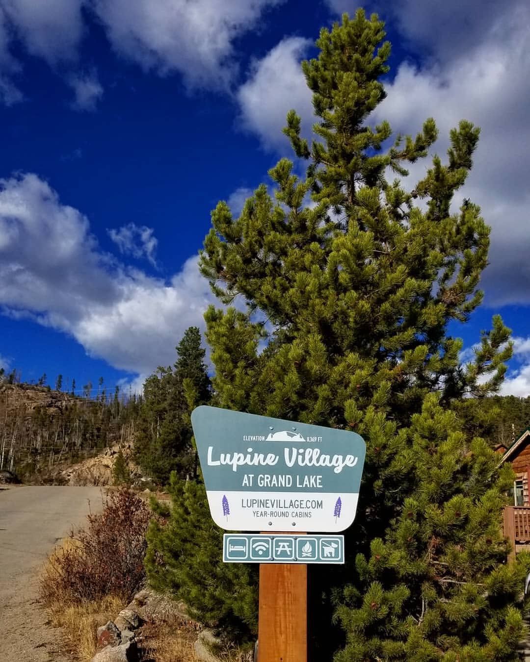 Custom Printed Wood Signs & Displays | Signs.com