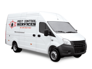 Custom Counter Cards - Free Design Services | Signs.com