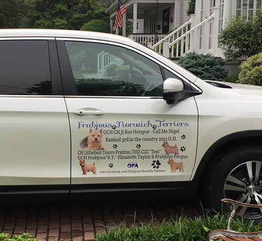 Clear Vehicle Decals - Design and Print Custom Car Decals | Signs.com