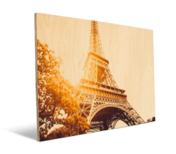 Custom Counter Cards - Free Design Services | Signs.com